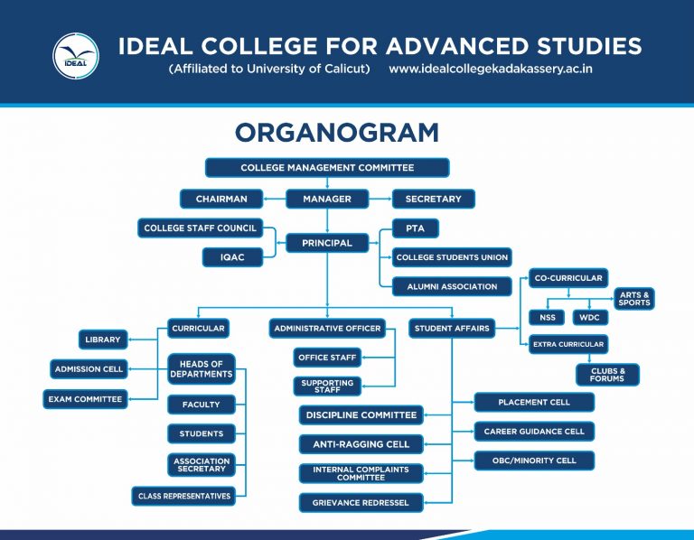 Organogram – Ideal College For Advanced Studies